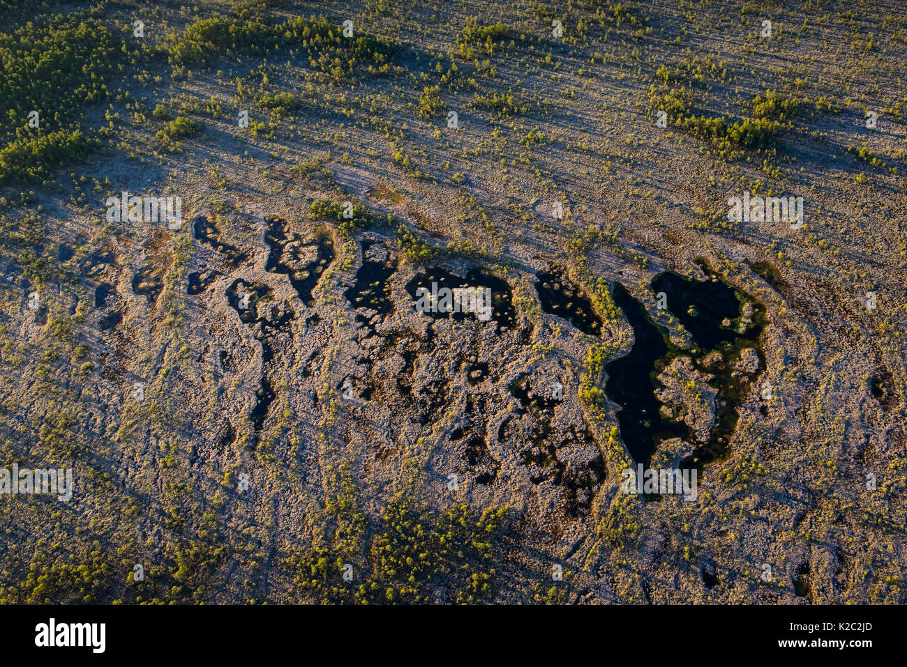 Aerial view of bog pools at sunrise, Sirtsi Nature Resrve in Ida ...