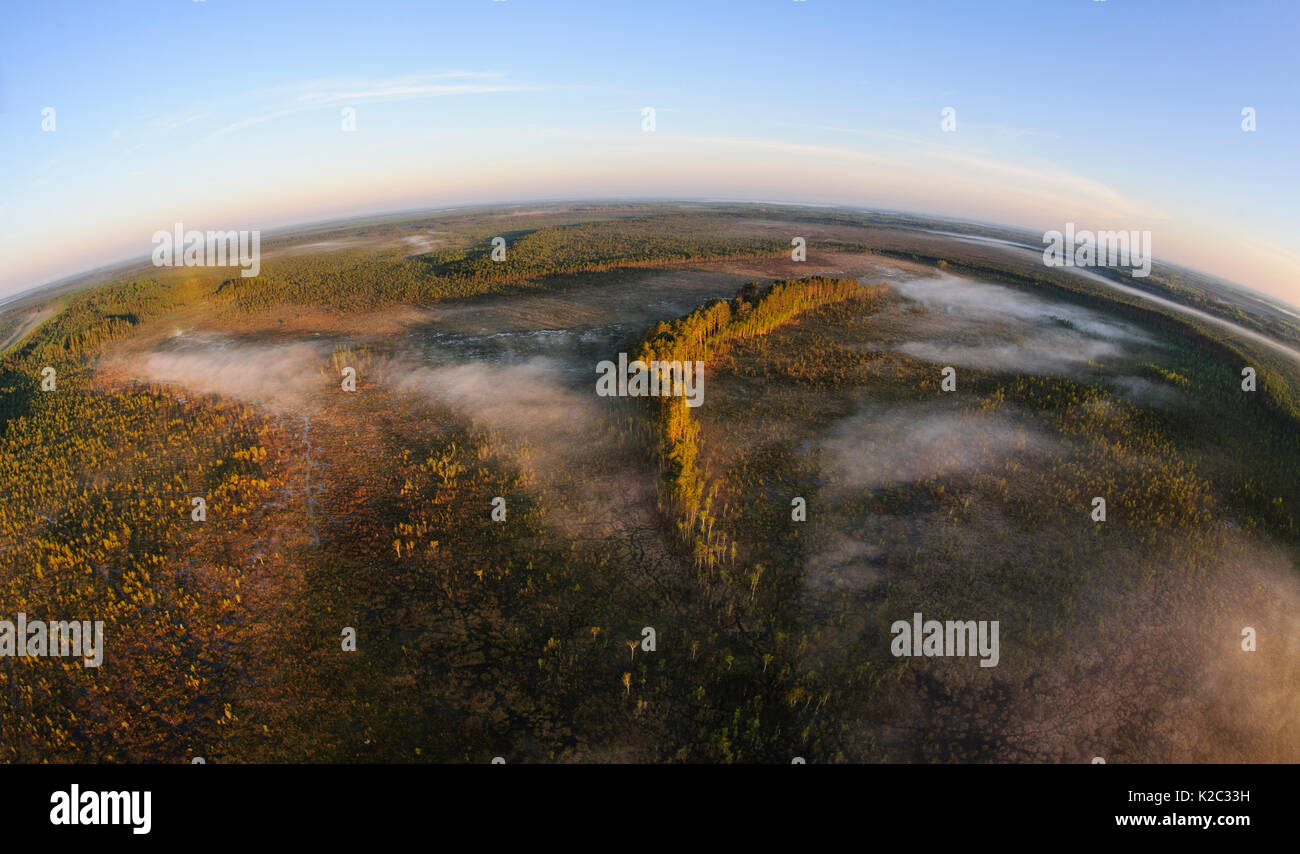 Bog eye hi-res stock photography and images - Alamy