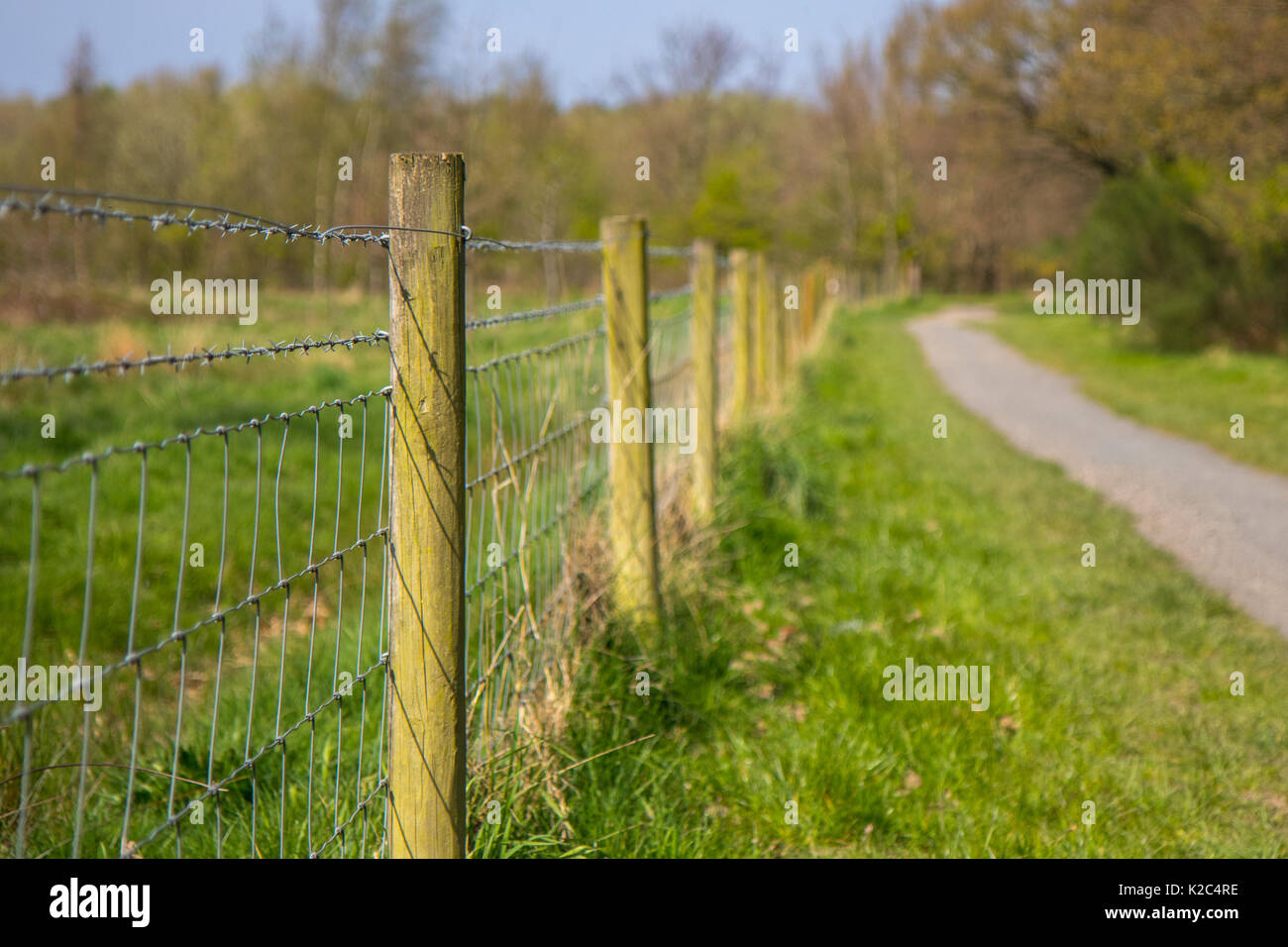 Bard wire hi-res stock photography and images - Alamy