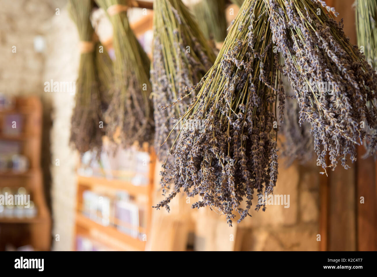 Dried bunches of lavender hanging on string Stock Photo - Alamy