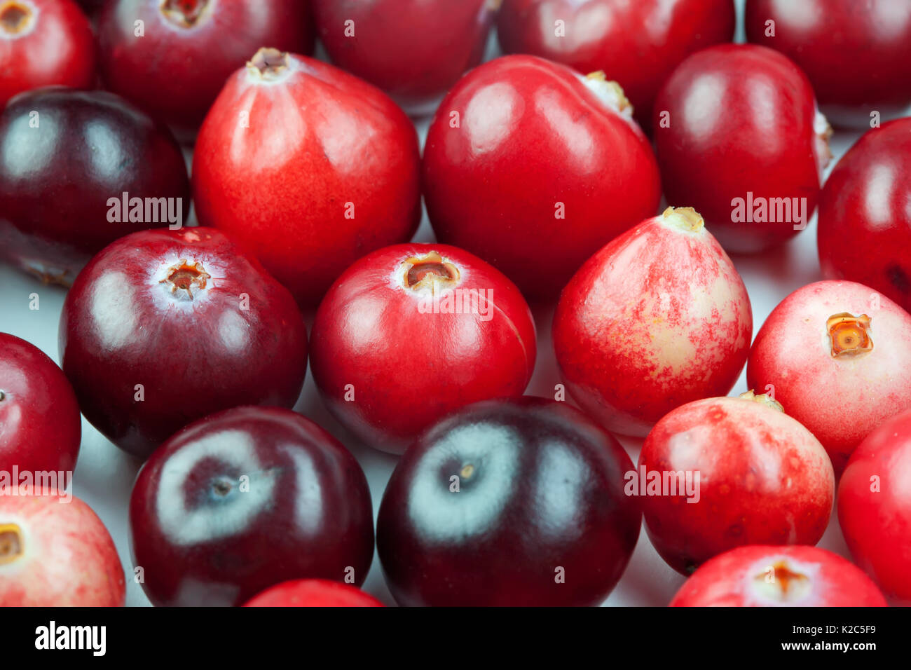 Cranberry Color High Resolution Stock Photography and Images - Alamy