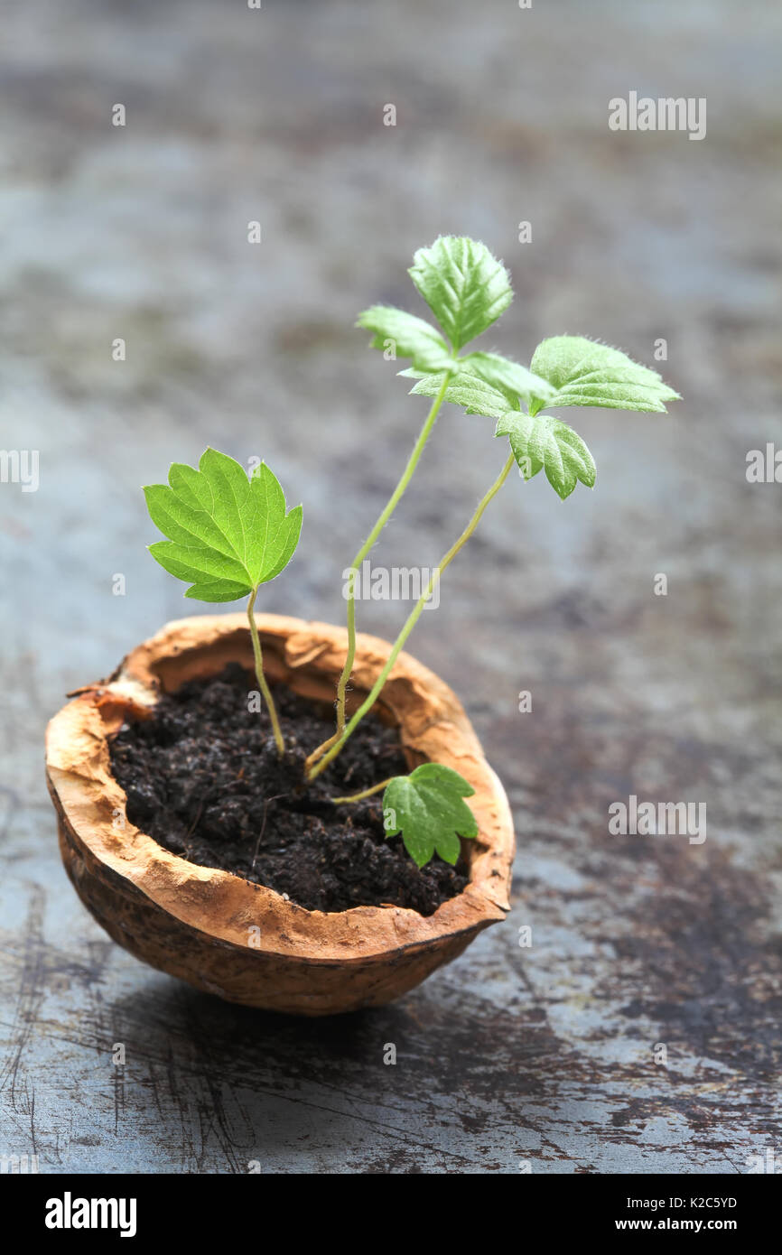 Ecology poster hi-res stock photography and images - Alamy