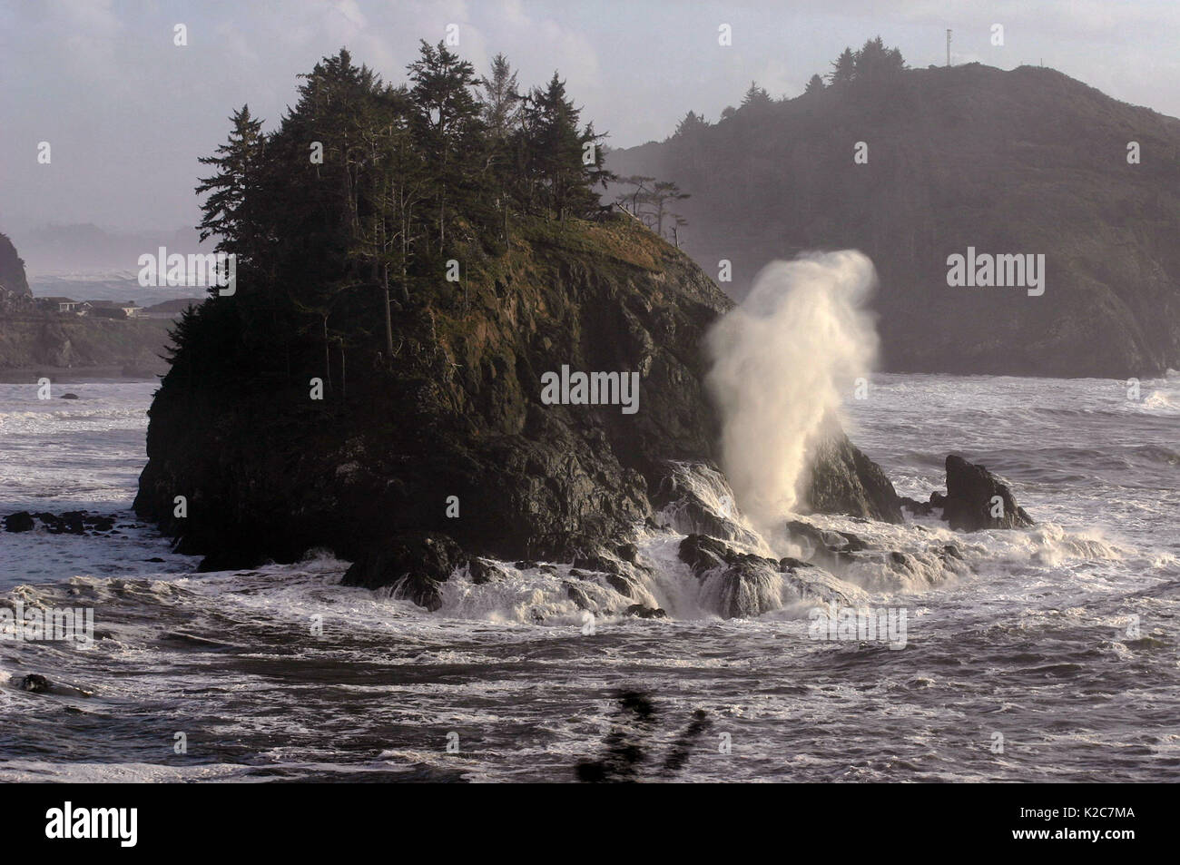Sea stack rock formations line the shore of Trinidad Harbor at the ...