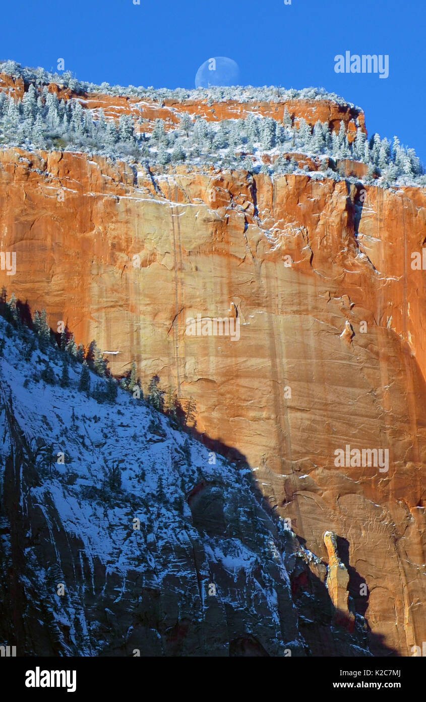 Zion canyons steep red cliffs hi-res stock photography and images - Alamy