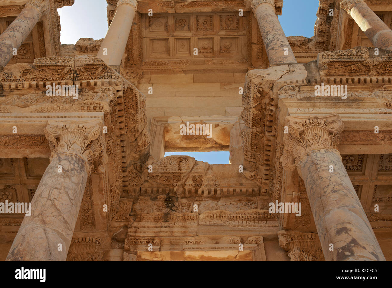 Celus hi-res stock photography and images - Alamy