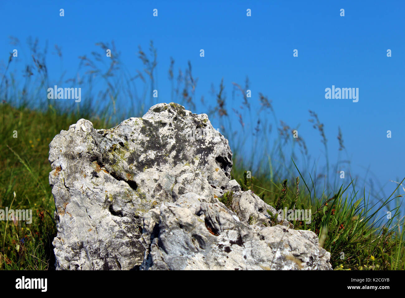 Limestone close up isolated hi-res stock photography and images - Alamy