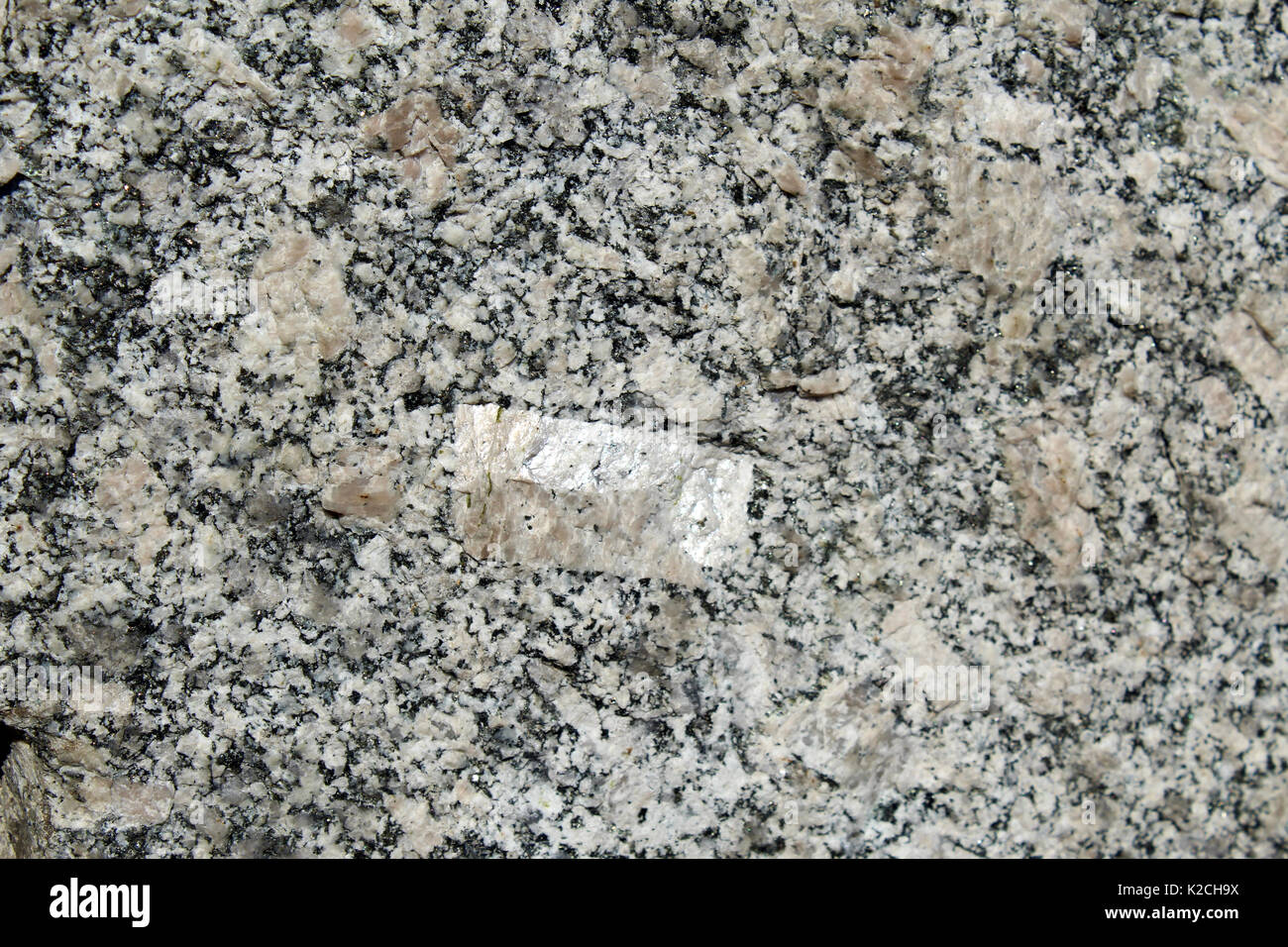 Granite gneiss texture hi-res stock photography and images - Alamy