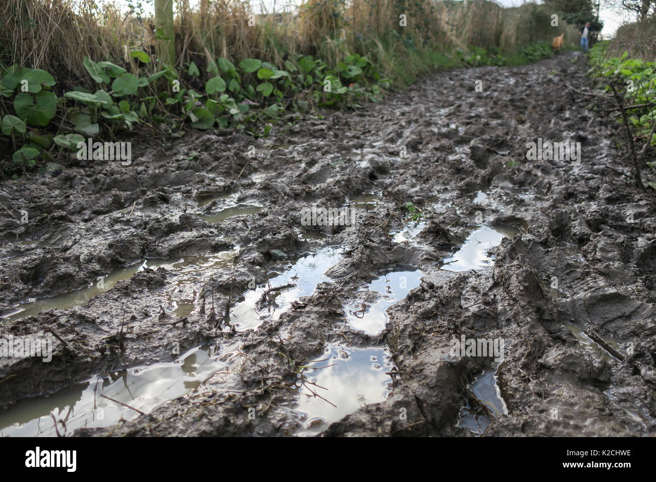 a close up low down rain muddy waterlogged footprints in public ...