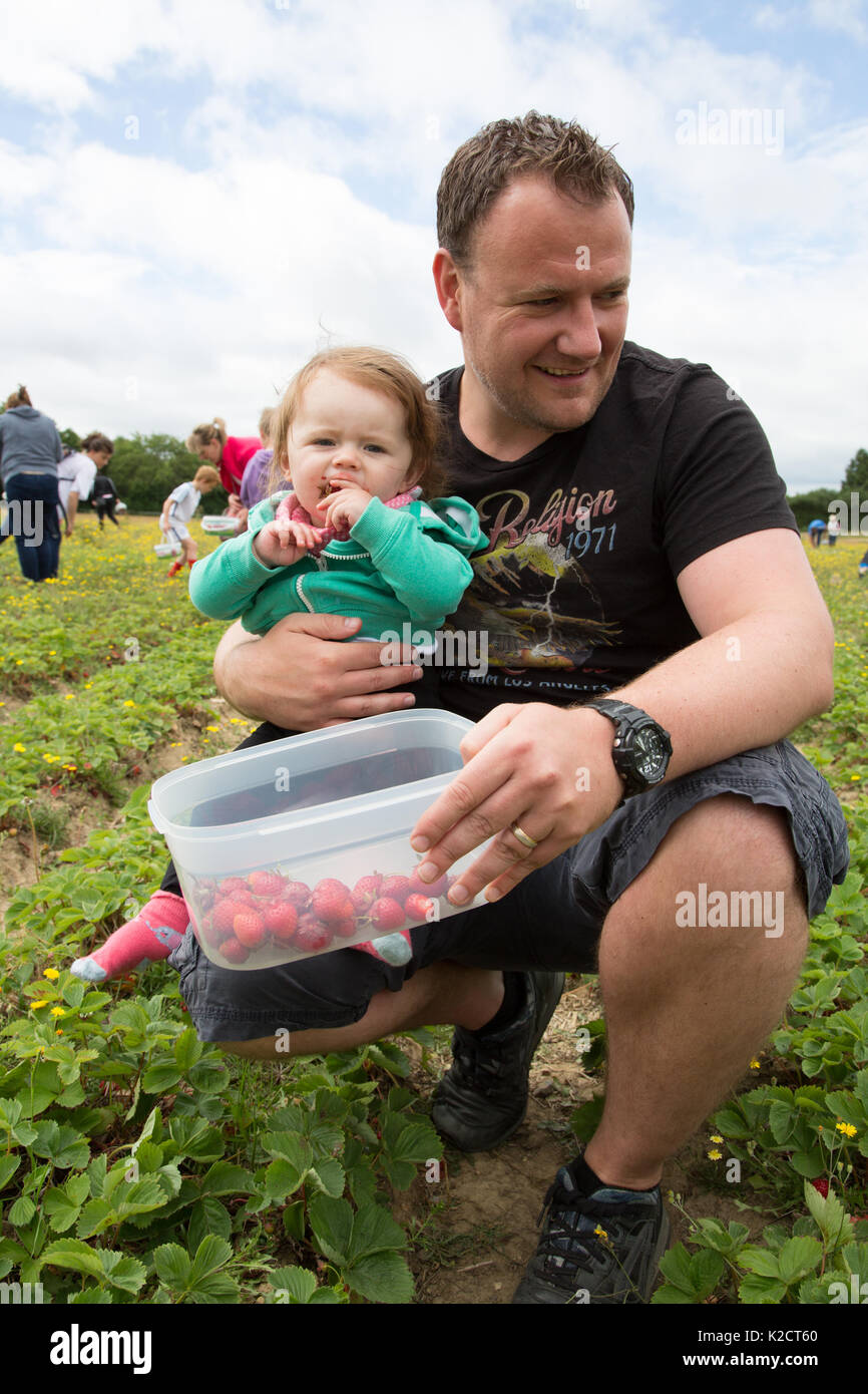 Child picking raspberries uk hi-res stock photography and images - Alamy
