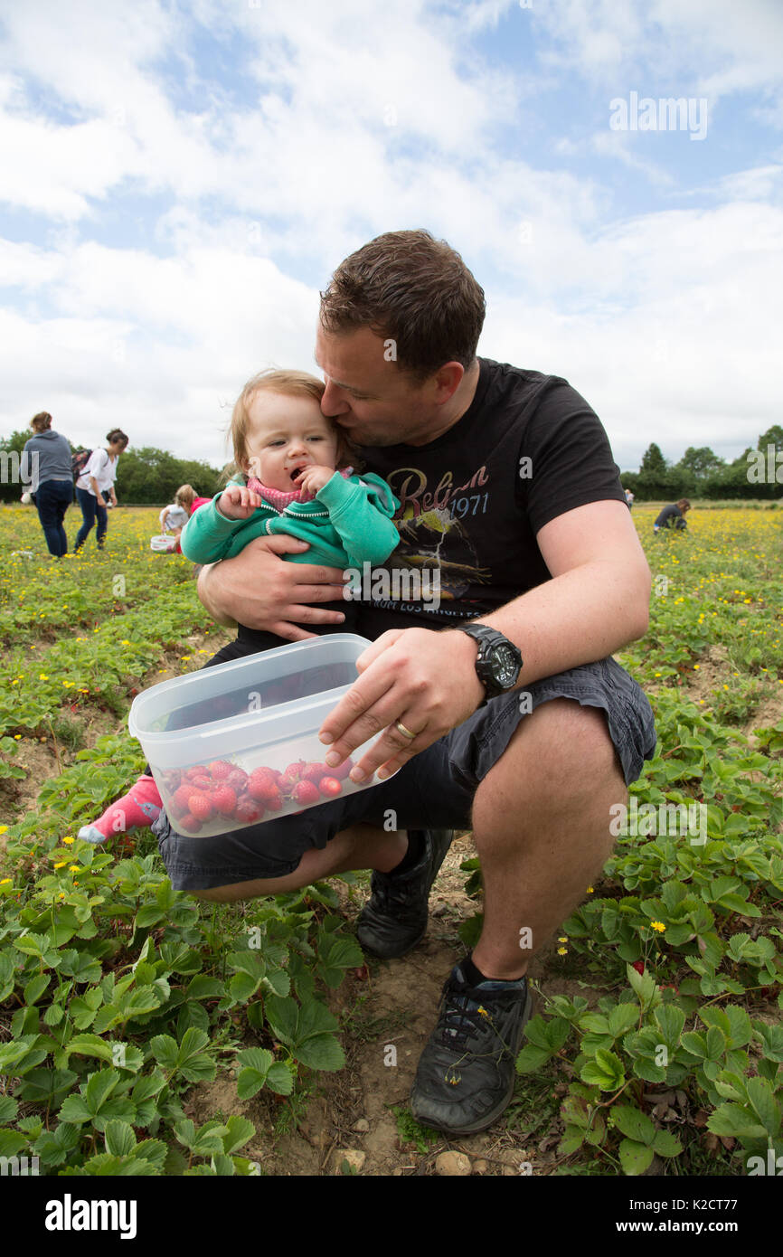 Child picking raspberries uk hi-res stock photography and images - Alamy