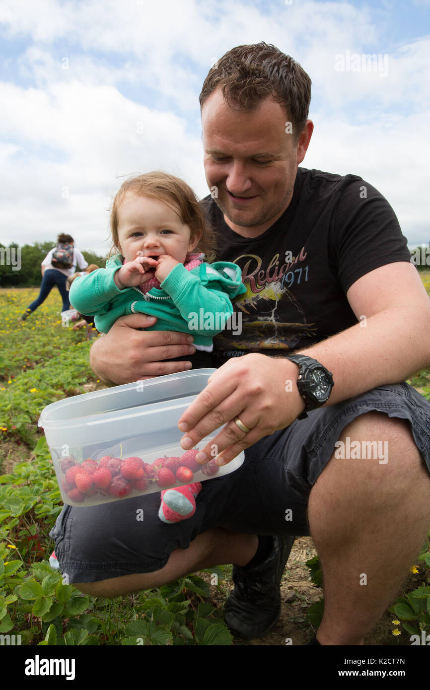 Child picking raspberries uk hi-res stock photography and images - Alamy