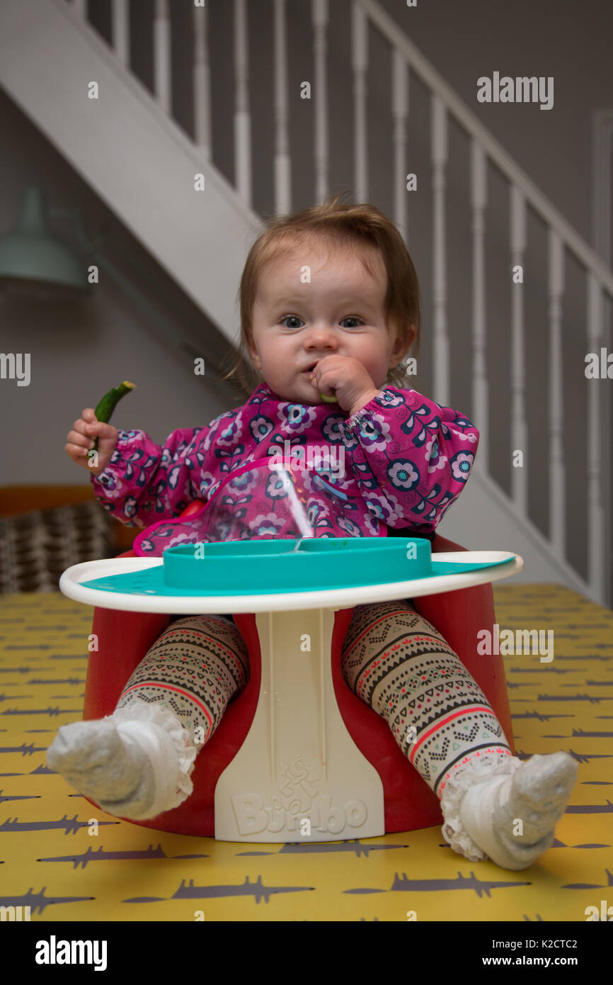 Baby being weaned in a highchair Stock Photo - Alamy