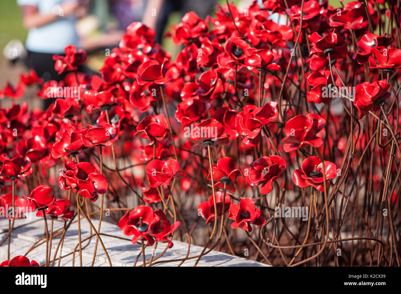 Poppies Wave art installation at Plymouth Naval Memorial. By Paul ...