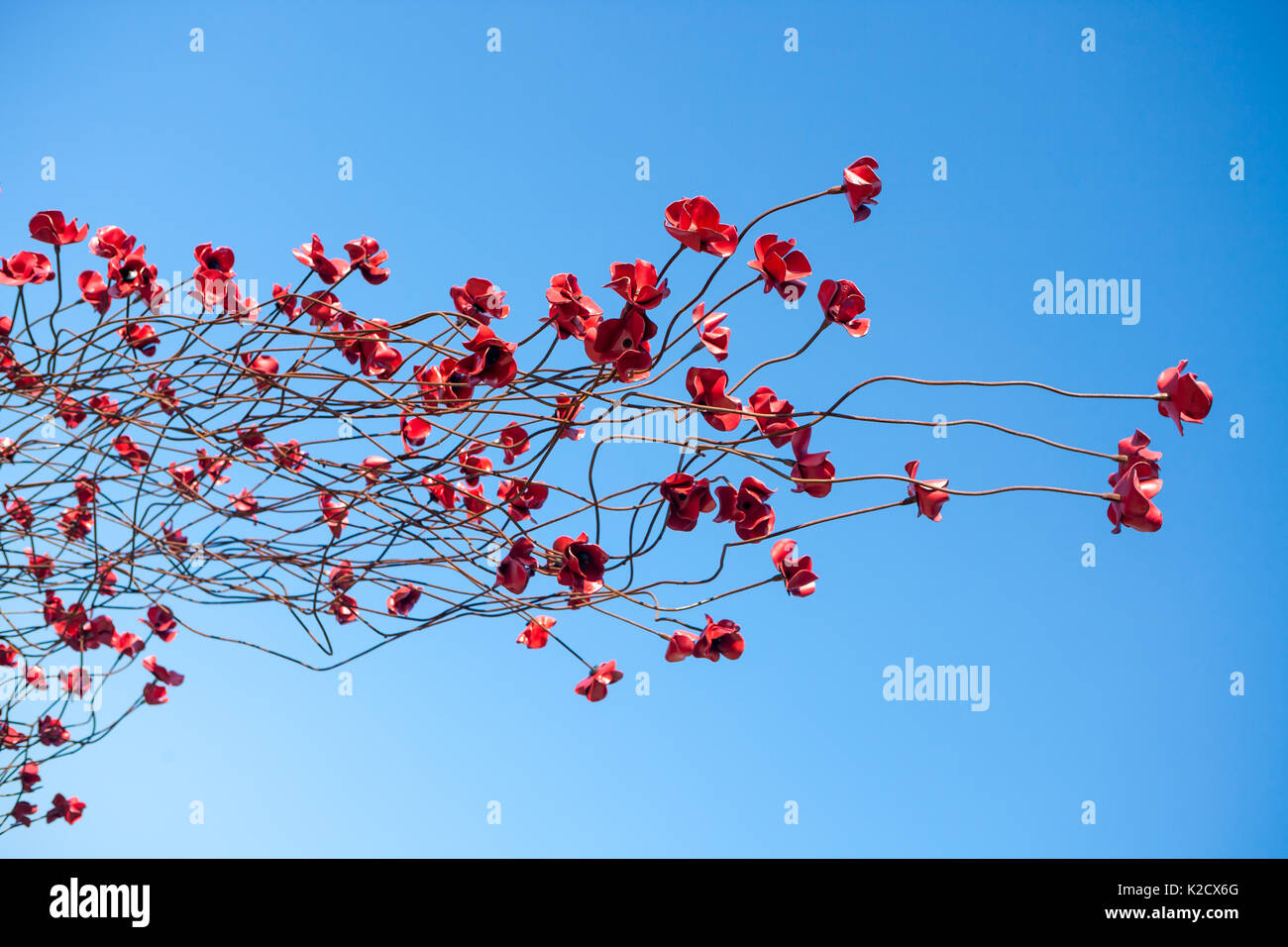 Poppies Wave art installation at Plymouth Naval Memorial. By Paul ...