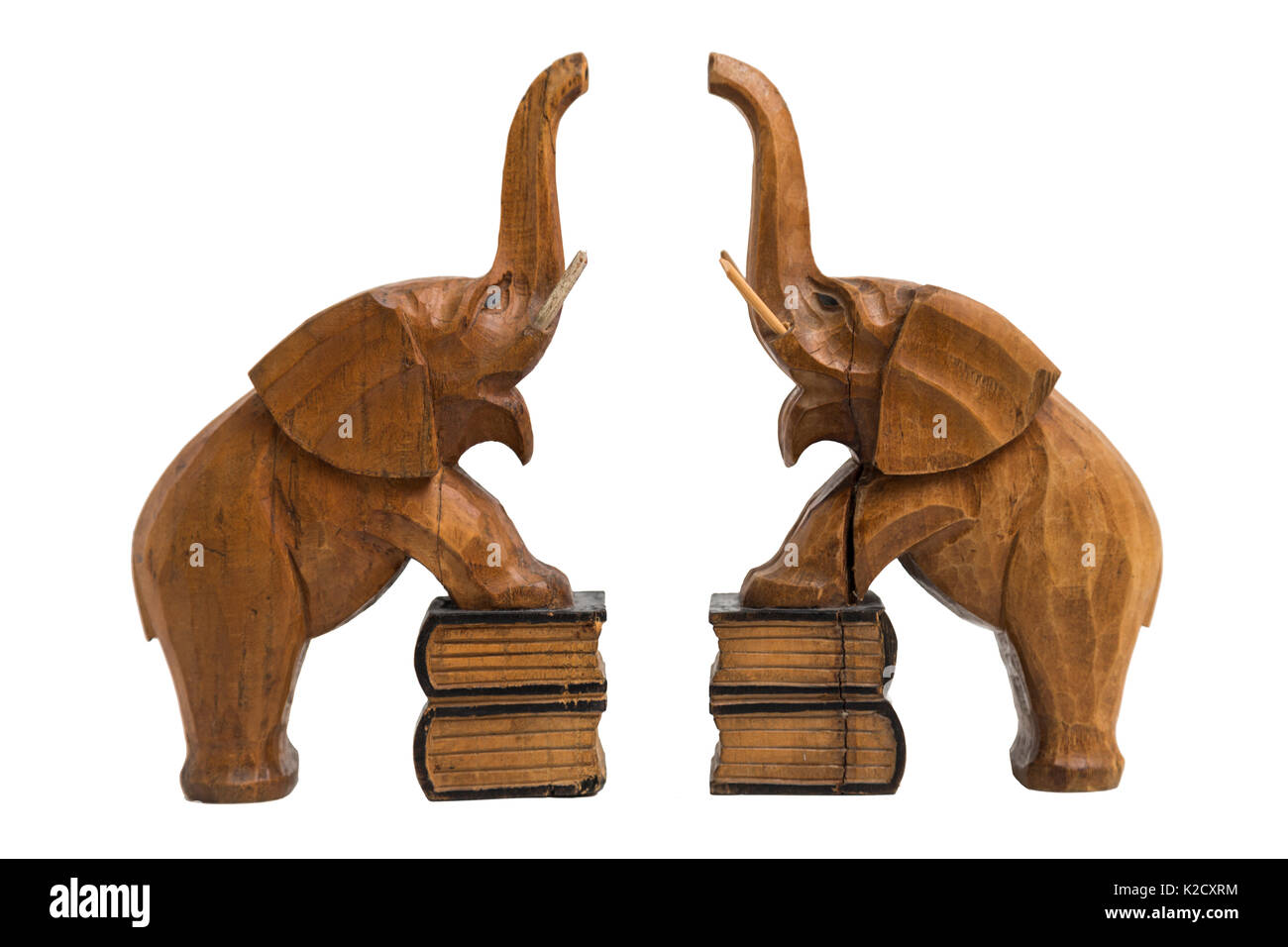 Elephants standing on two legs hi-res stock photography and images - Alamy