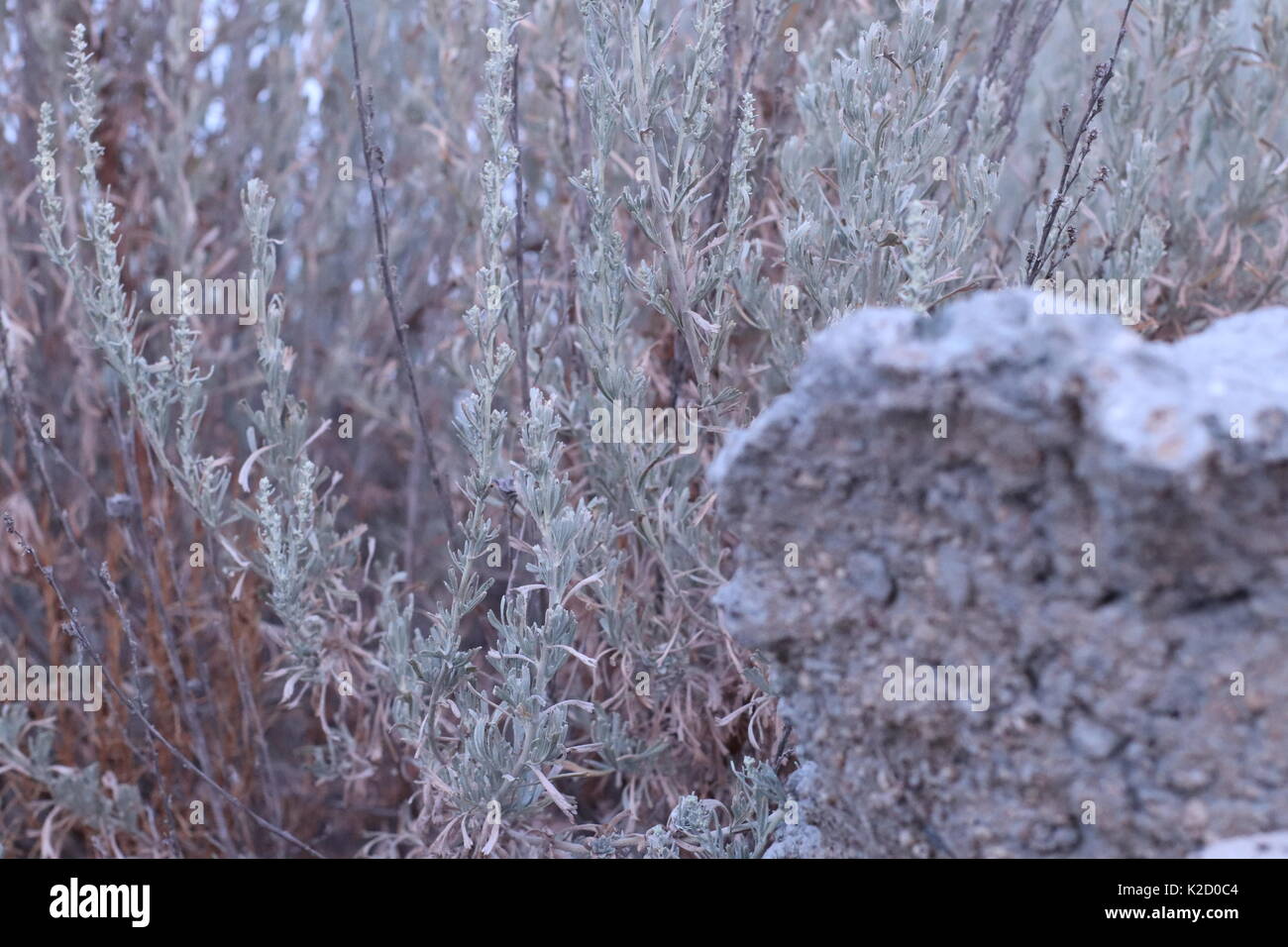 Dc sunset skyline hi-res stock photography and images - Alamy