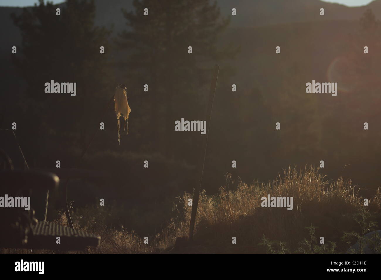 The flare of A lifetime Stock Photo - Alamy