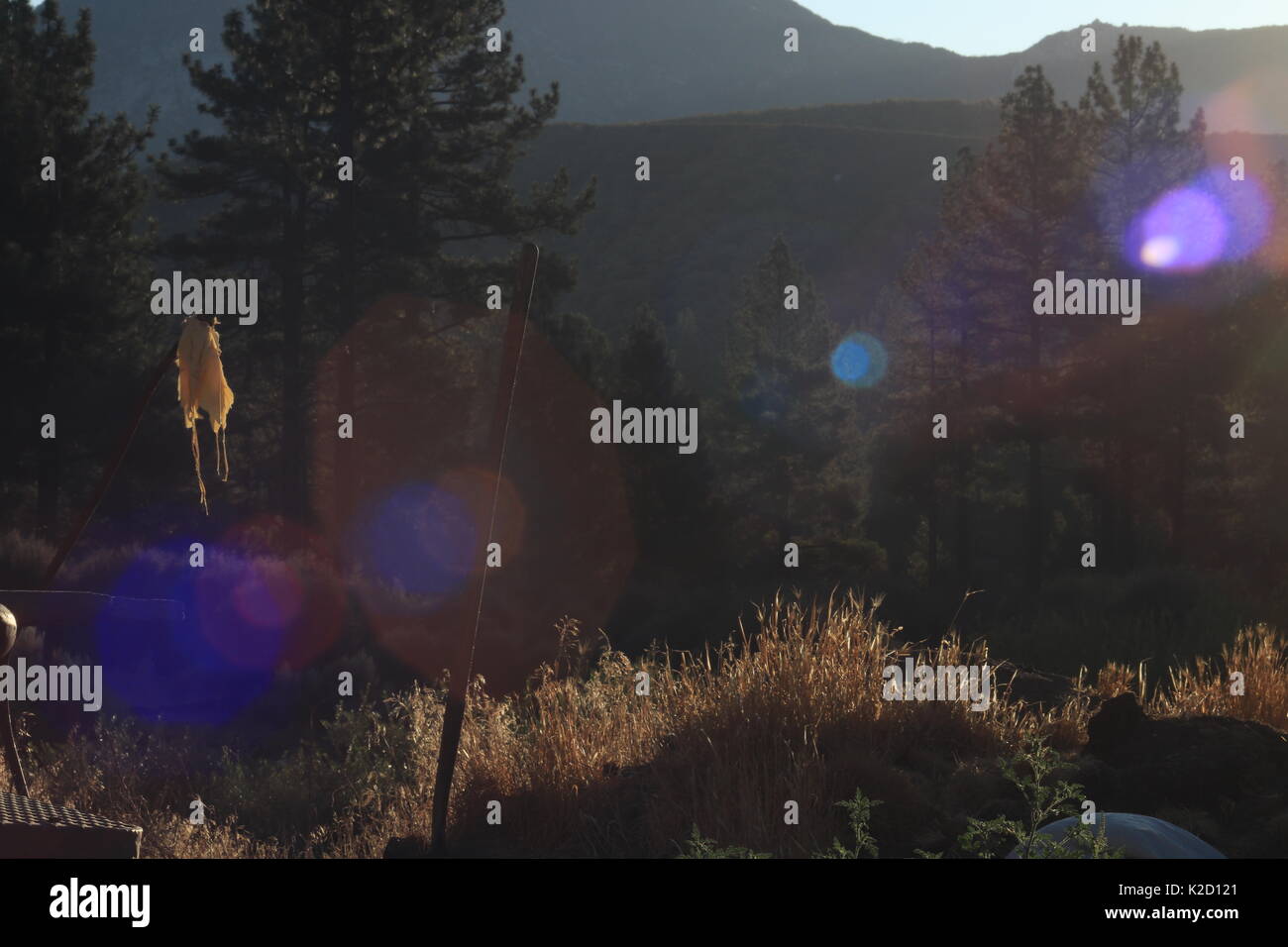 The flare of A lifetime Stock Photo - Alamy