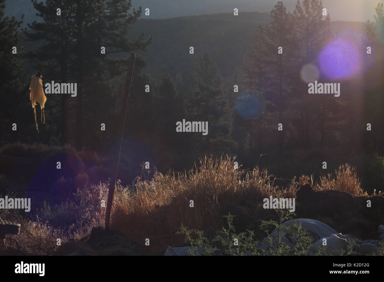 The flare of A lifetime Stock Photo - Alamy