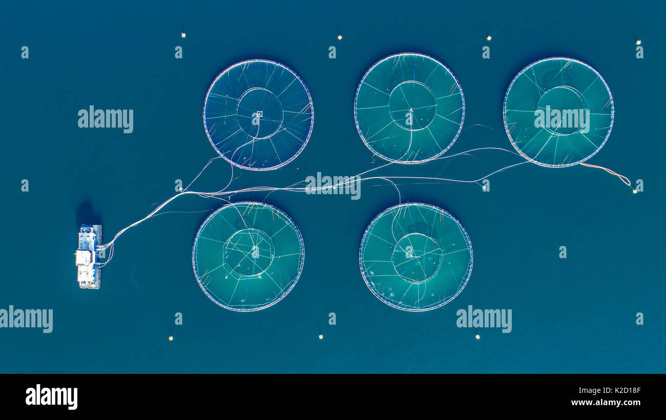 Salmon fish farm. Hordaland, Norway Stock Photo - Alamy