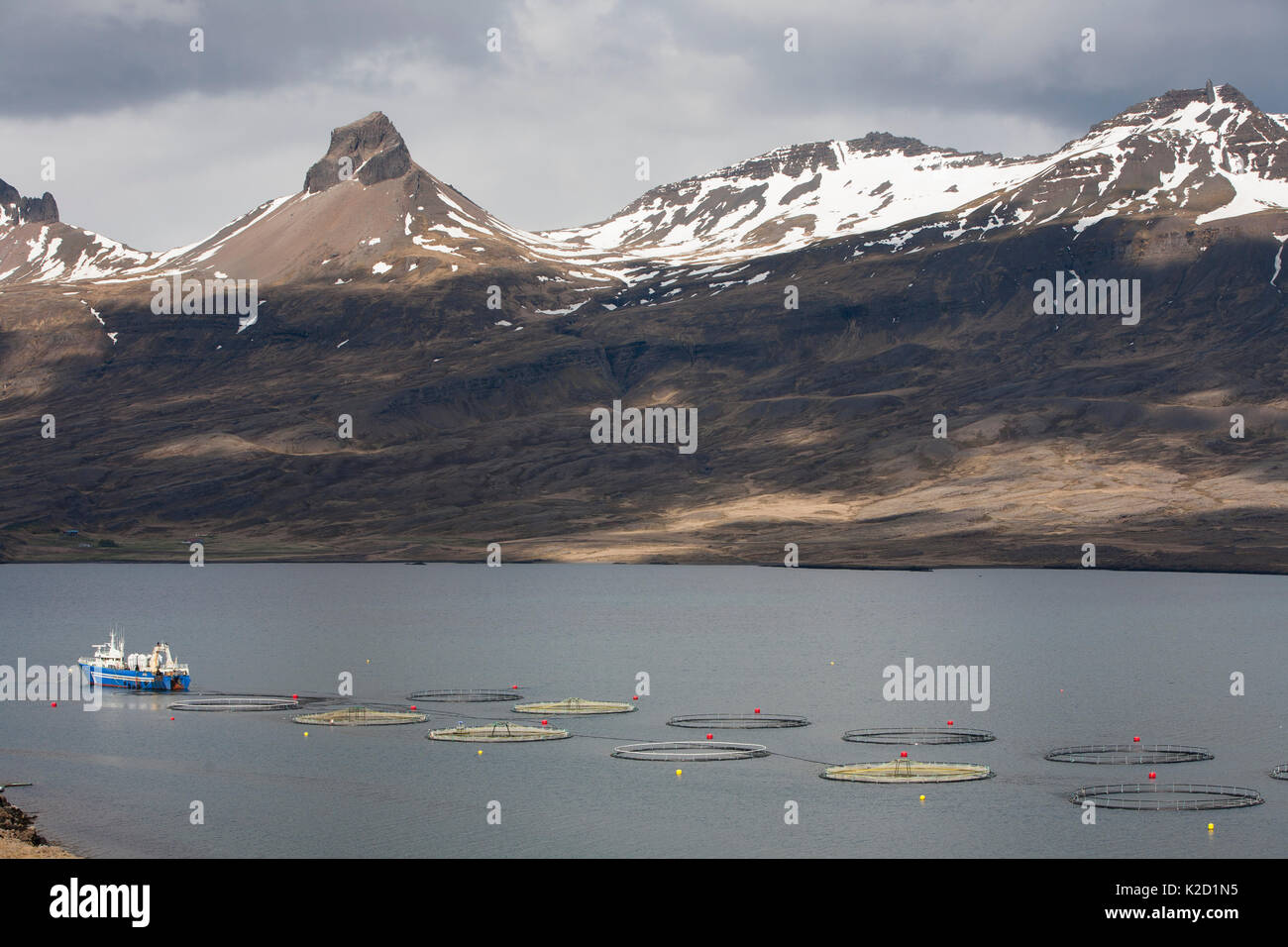 Fish farming icelandic fjord hi-res stock photography and images - Alamy