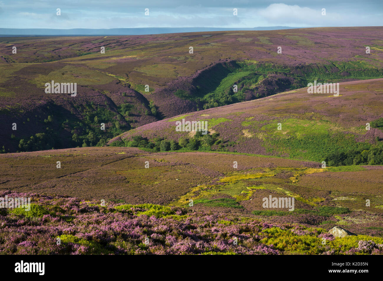 Howden moors hi-res stock photography and images - Alamy