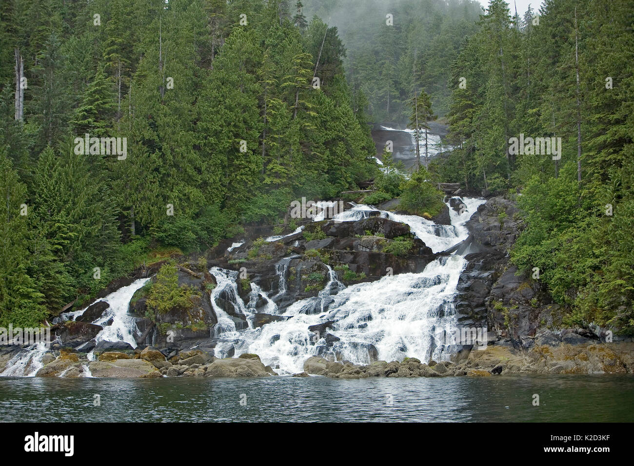 Princess Royal Island High Resolution Stock Photography and Images - Alamy