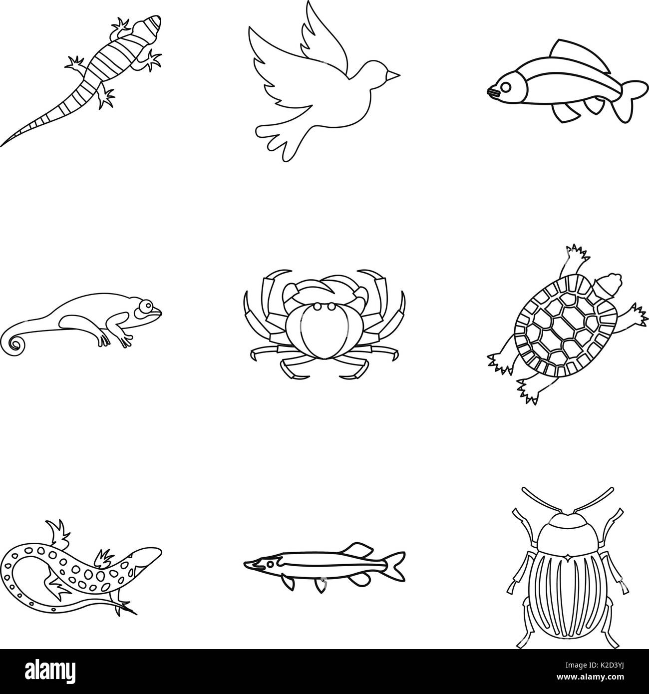 Dorr beetle Stock Vector Images - Alamy