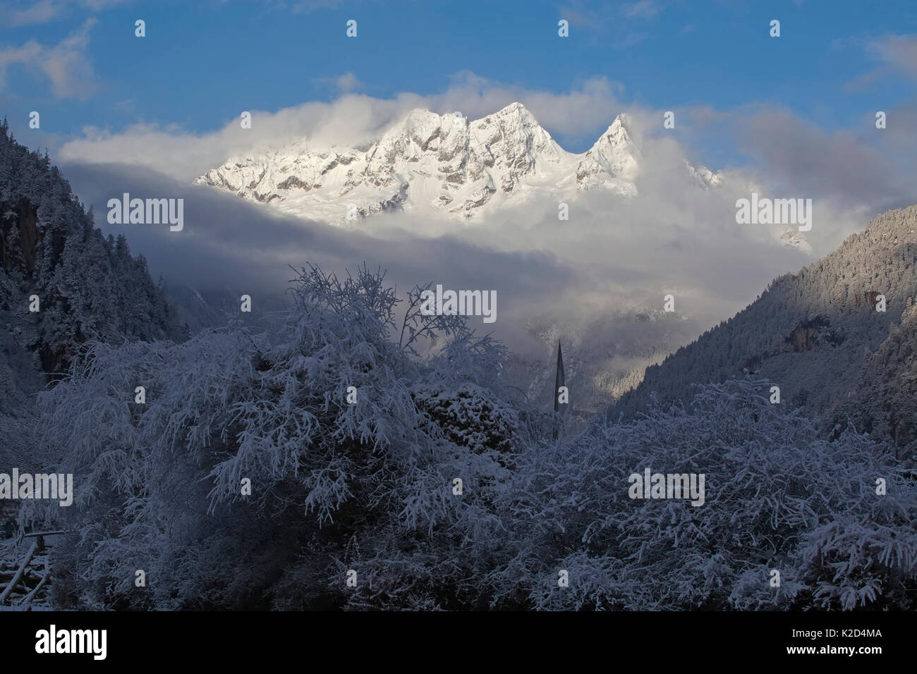 Basongcuo national park hi-res stock photography and images - Alamy
