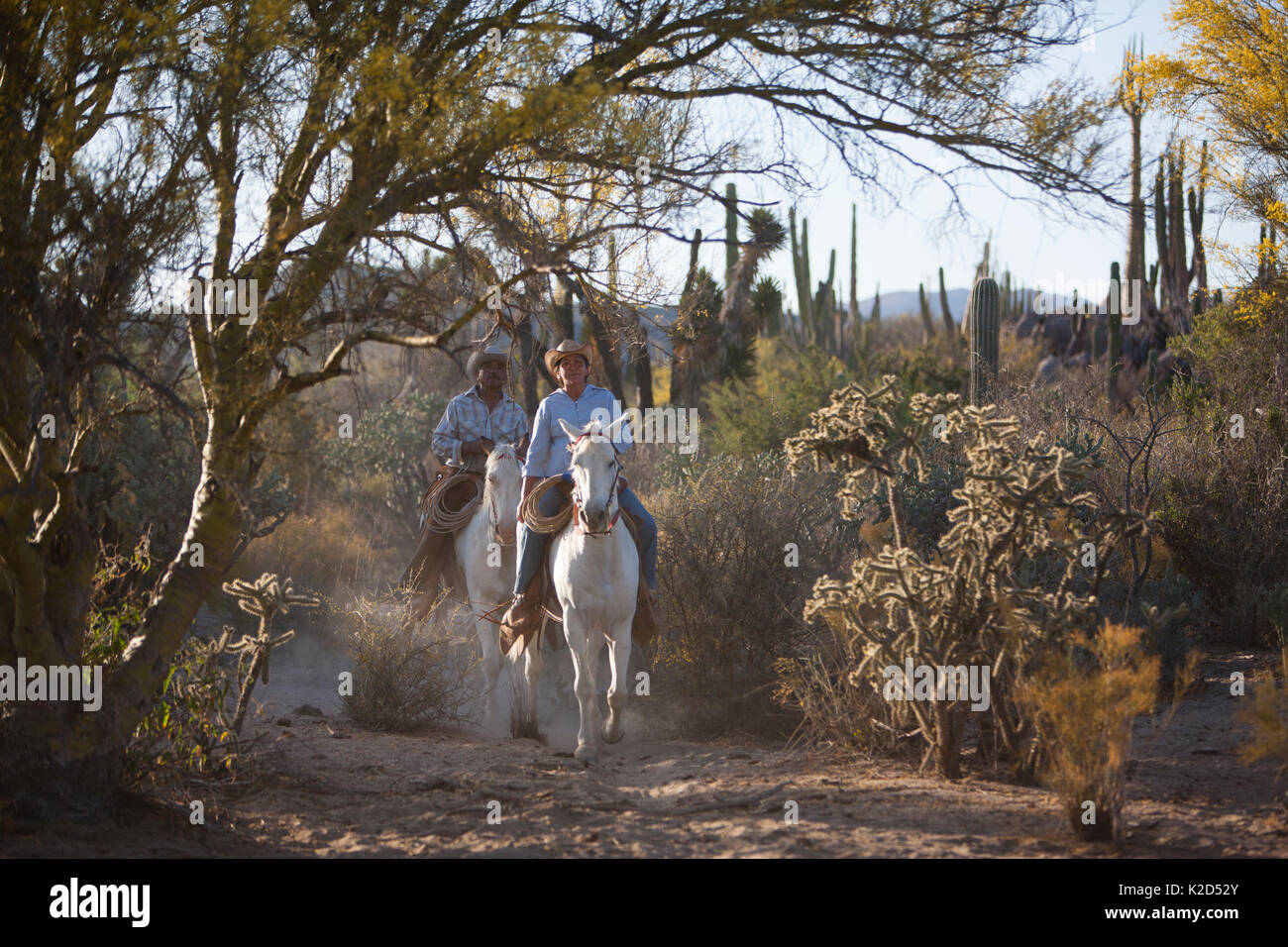 Two cowboys riding horses hi-res stock photography and images - Alamy