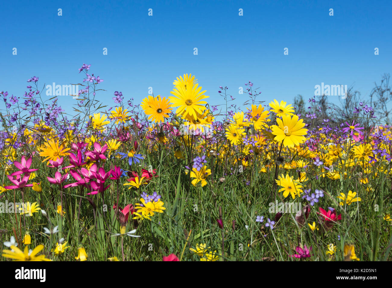 Northern cape hi-res stock photography and images - Alamy