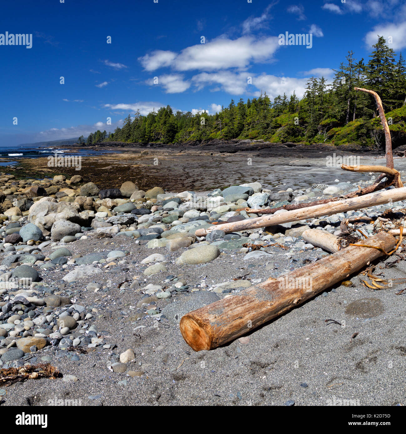 Juan de fuca hi-res stock photography and images - Alamy