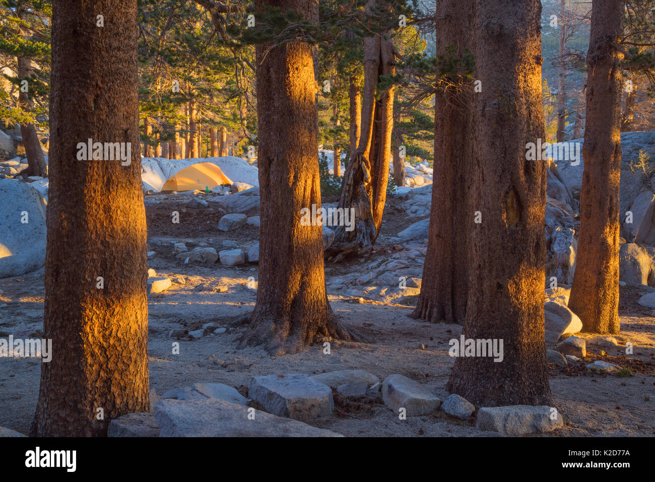 Camping in big tents hi-res stock photography and images - Alamy