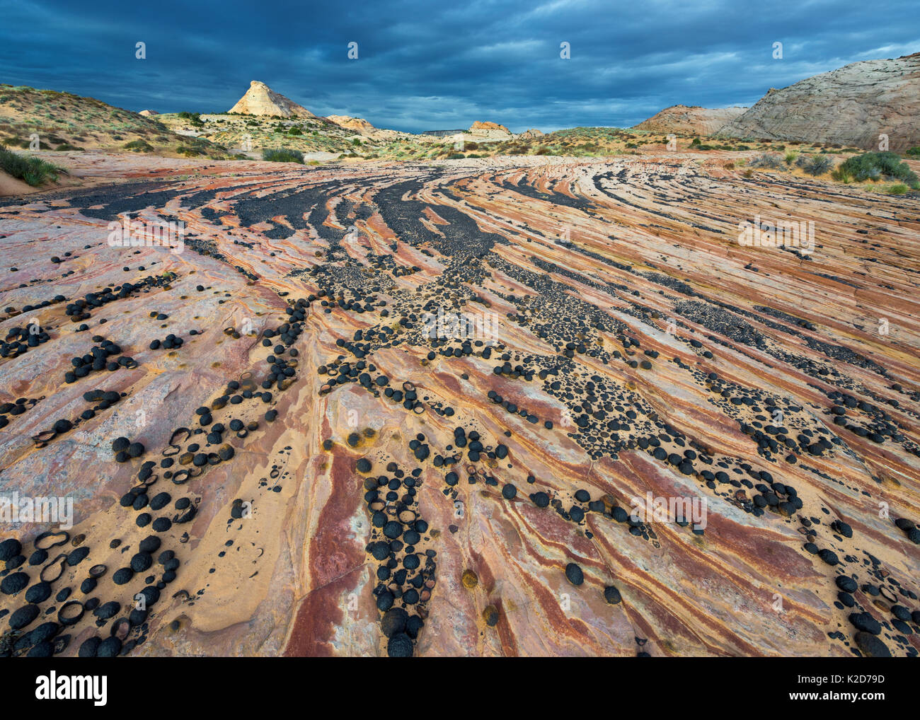 Moqui Marbles adorn a sandstone plateau in Escalante National Monument ...