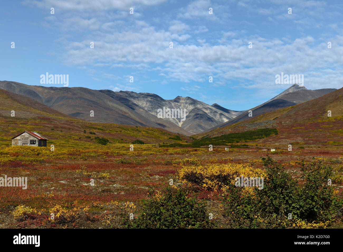 Tundra landscape alaska hi-res stock photography and images - Alamy