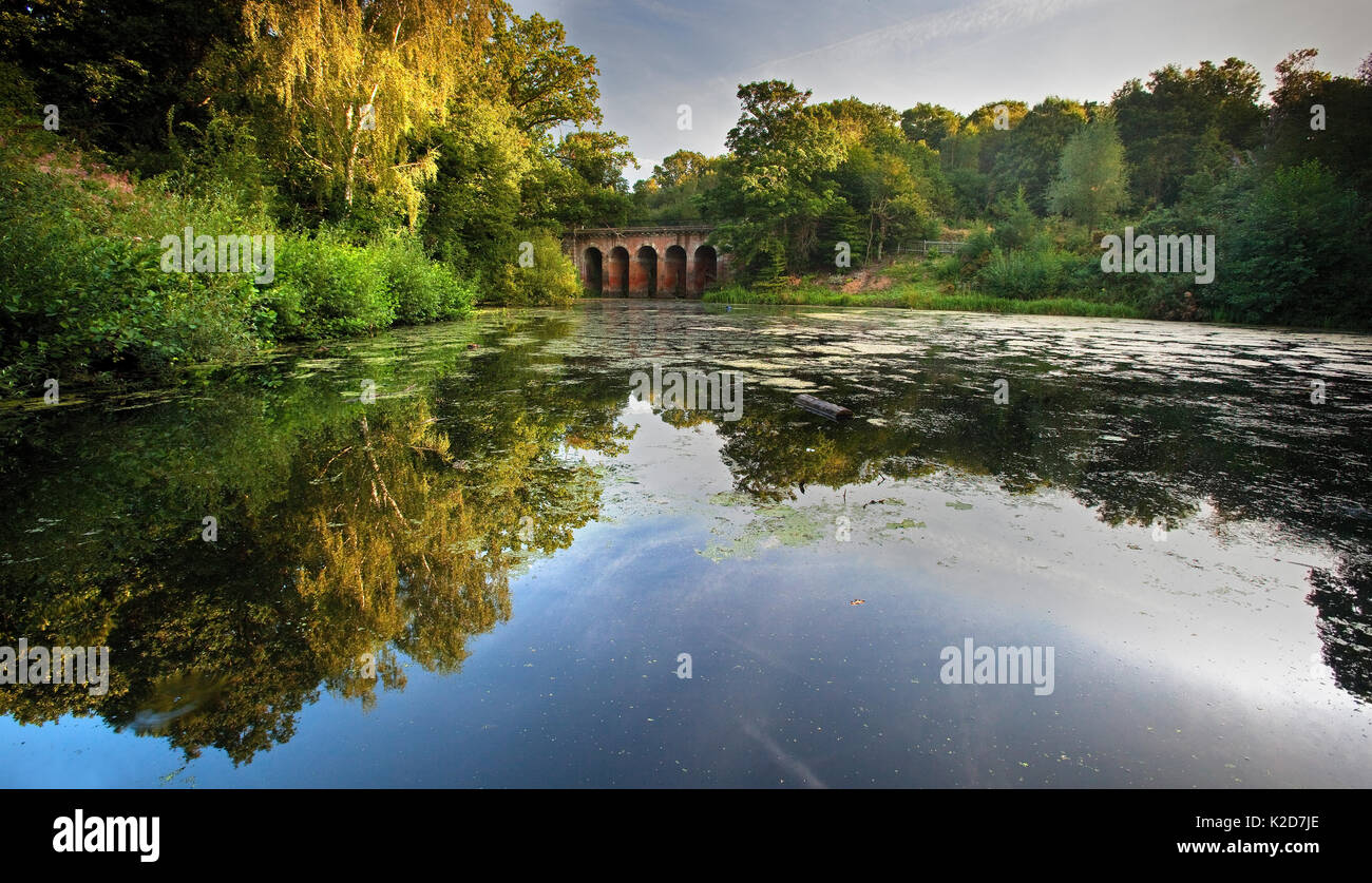 Viaduct Bridge and reflected in still water, Hampstead Heath, London ...