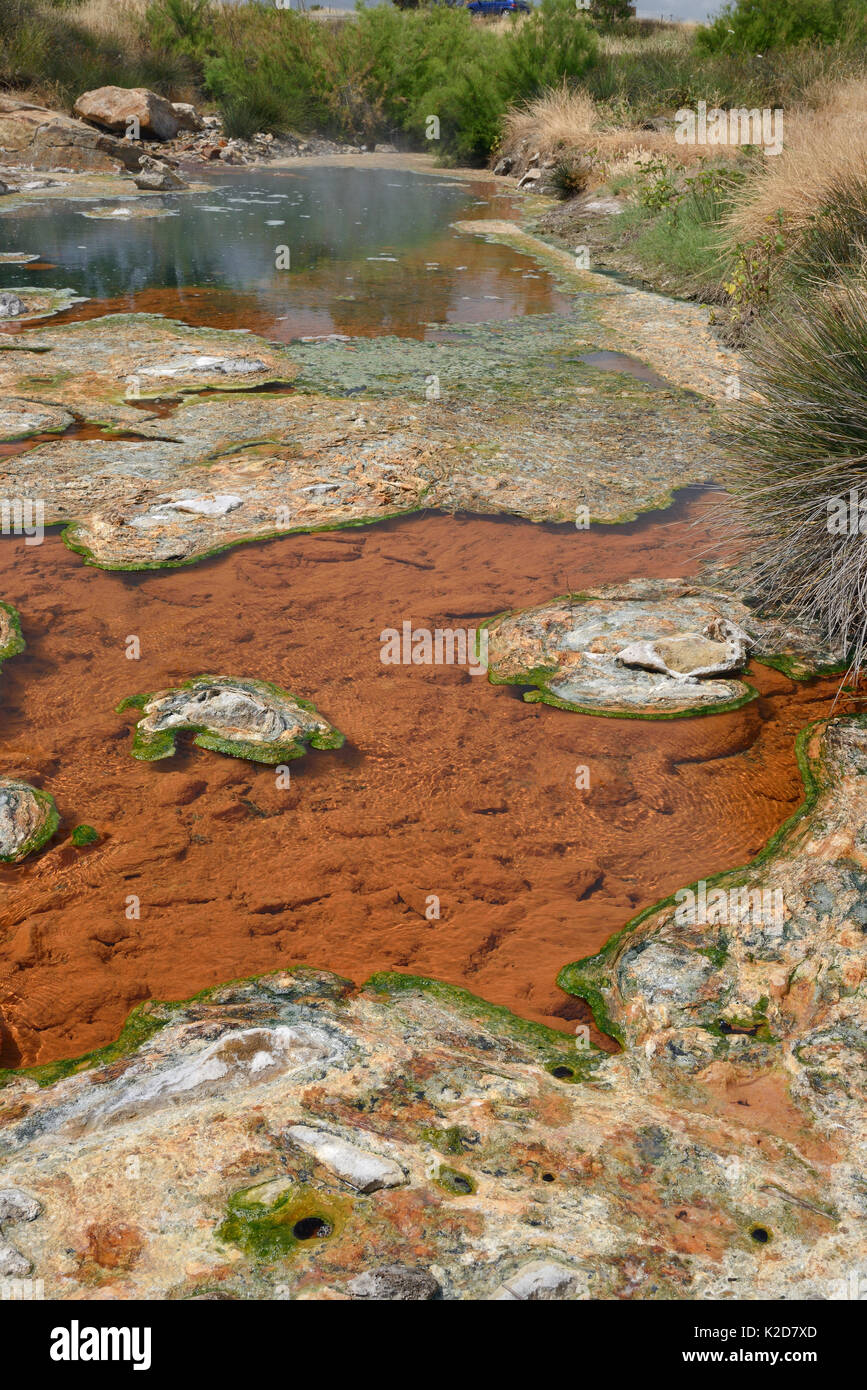 Thermal river, fed with boiling water from hot springs, with colourful ...
