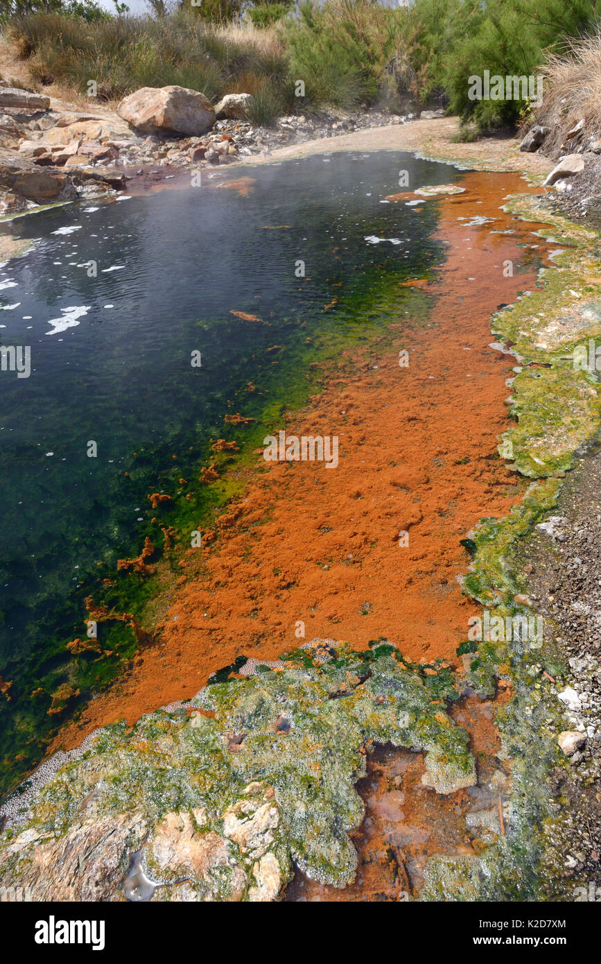Thermal river, fed with boiling water from hot springs, with colourful ...
