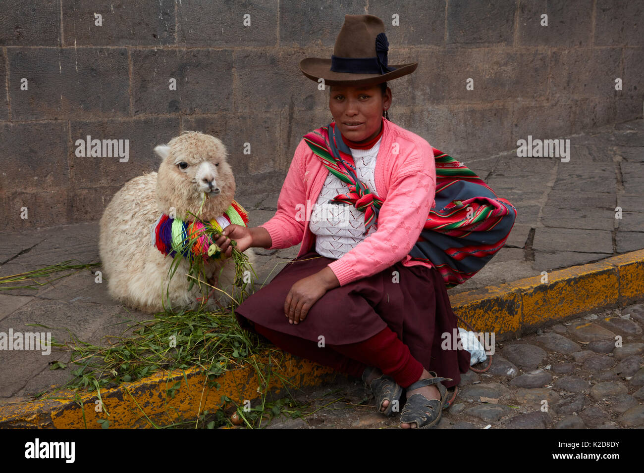 Indigenous Peruvian woman in traditional costume and alpaca, Cusco ...