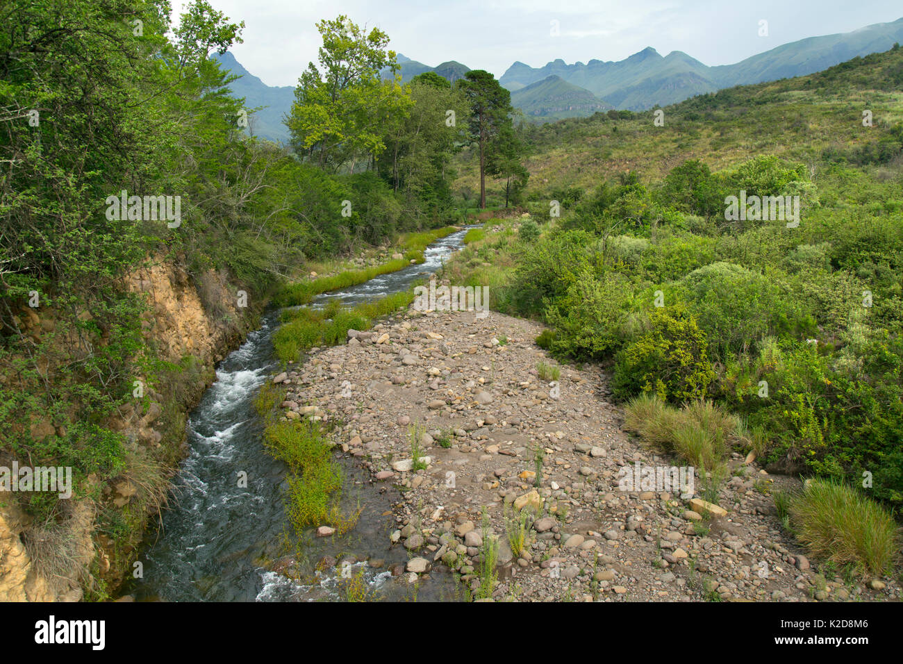 Natal streams hi-res stock photography and images - Alamy