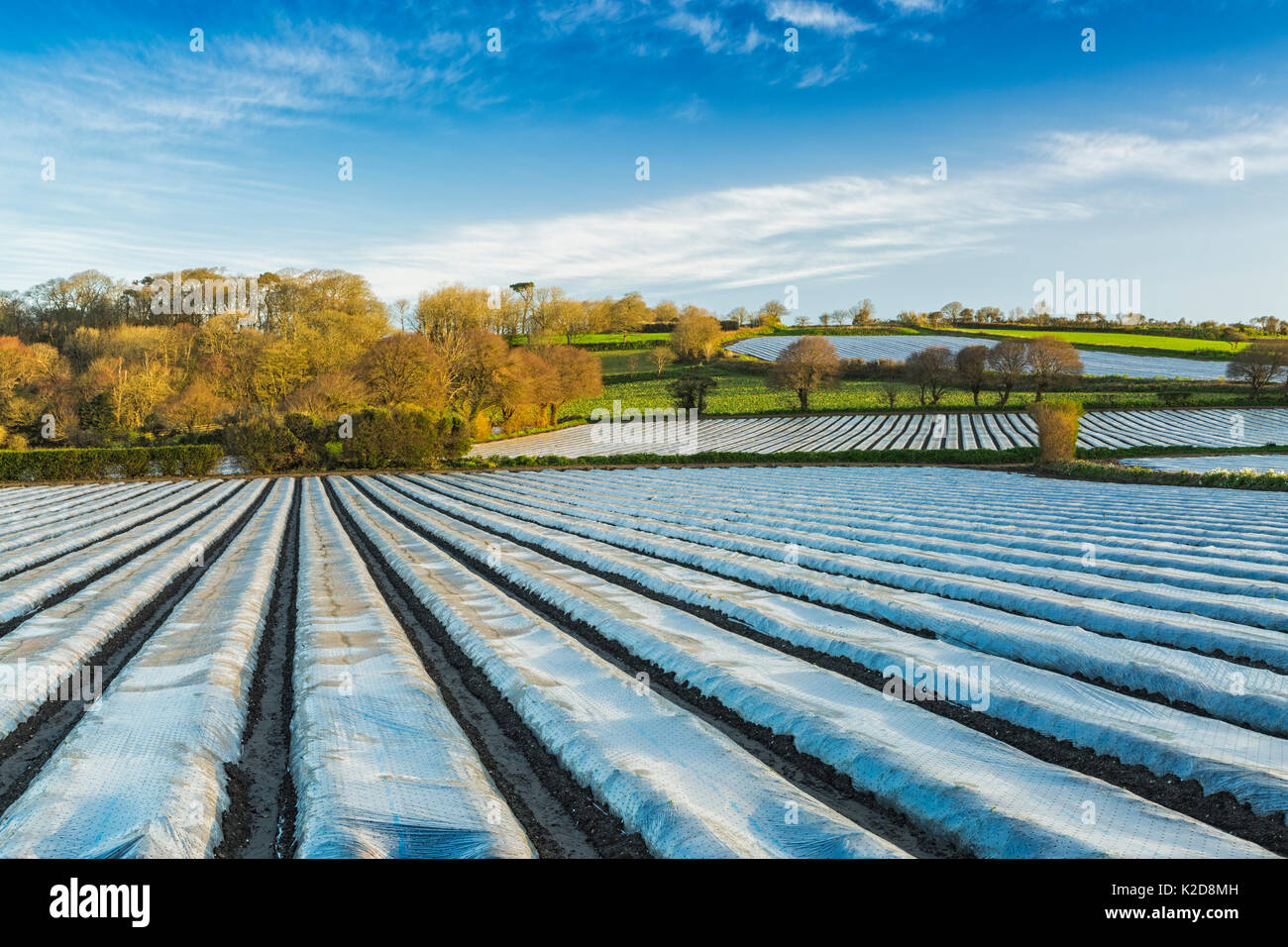 Covering crops with plastic hi-res stock photography and images - Alamy