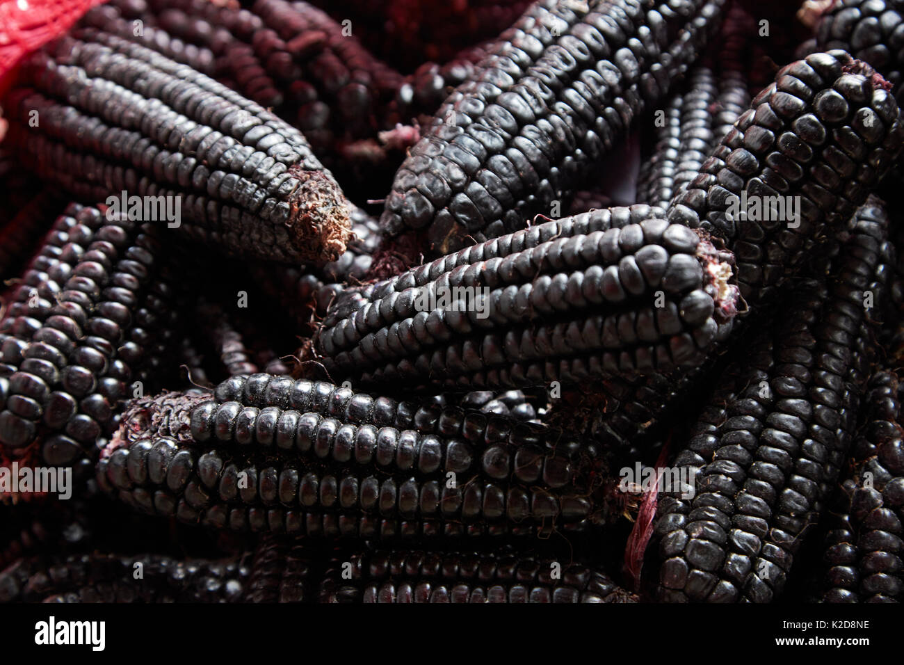 Kculli corn hi-res stock photography and images - Alamy