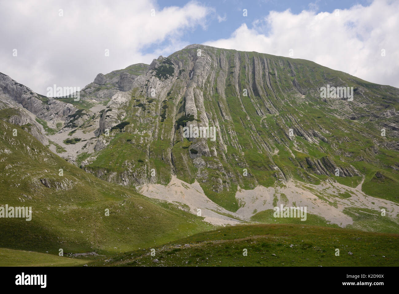 Vertically folded limestone rock layers of Prutas Mountain, Durmitor ...