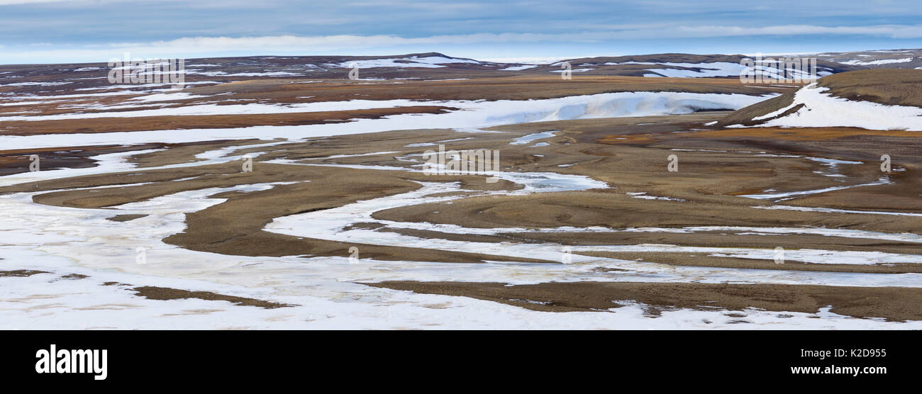 Panoramic view of polar bear pass tundra landscape with snow hi-res ...