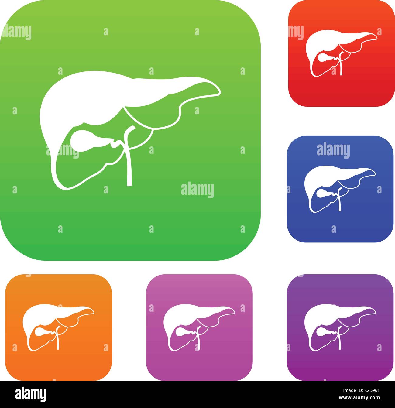 Hepatic artery liver Stock Vector Images - Alamy