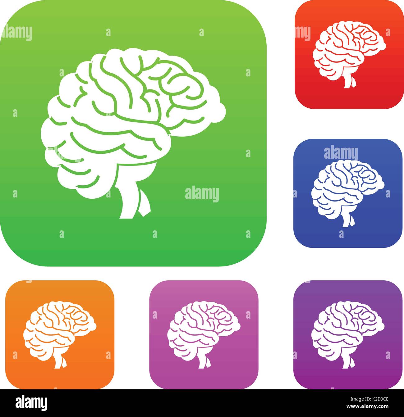 Brain set collection Stock Vector Image & Art - Alamy