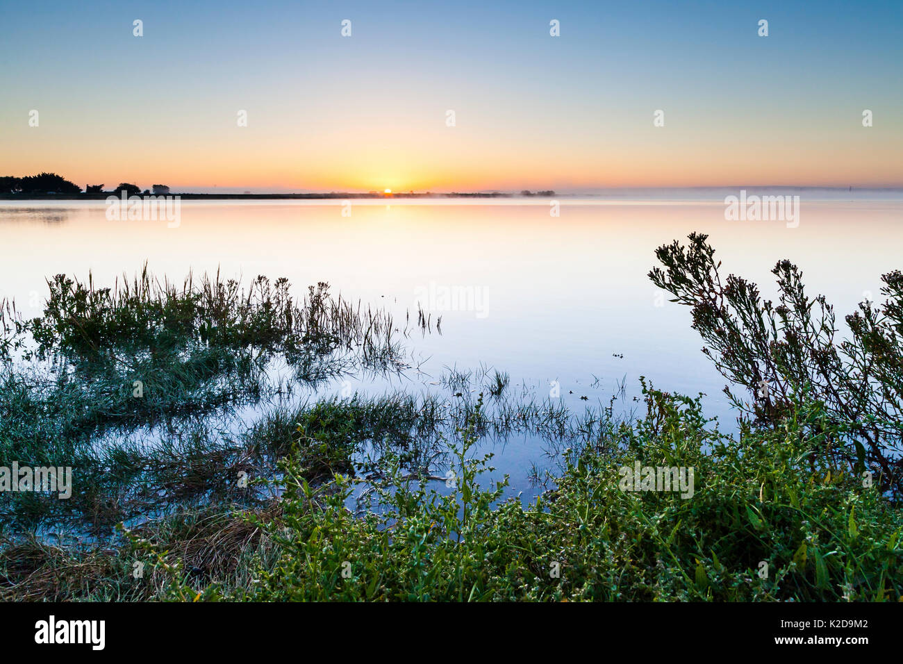 Coastal tides in estuary hi-res stock photography and images - Alamy