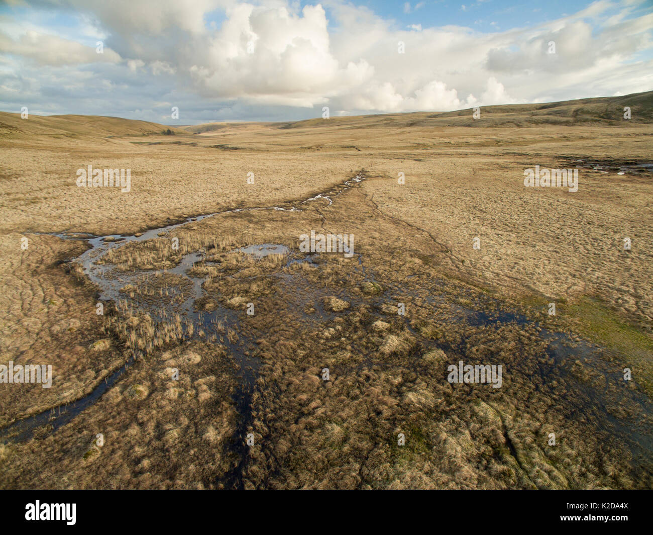 Marshland bogs water aerial hi-res stock photography and images - Alamy