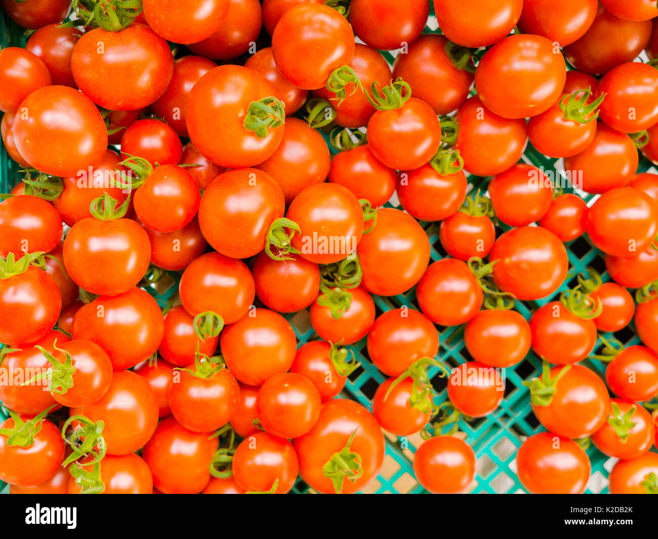 Green farm niseko hi-res stock photography and images - Alamy