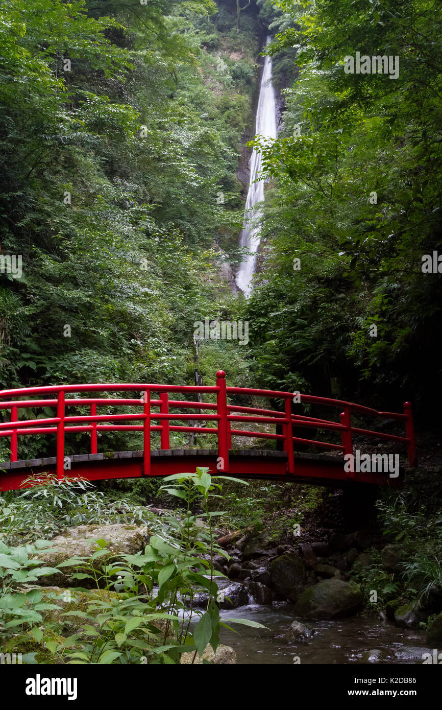 Woodllands hi-res stock photography and images - Alamy